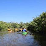 Central Florida Kayaking - Professionally Guided Kayak Tours